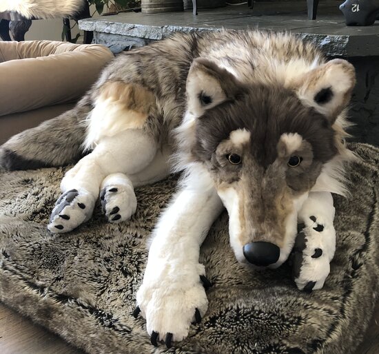 Wolf by Heidi Klovee - Bear Pile