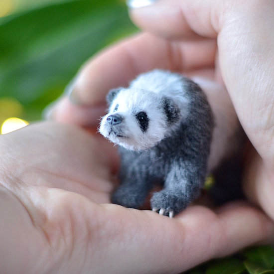 Little Devil by OlFa - Bear Pile