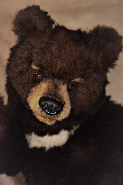 JAKE, the grizzly bear by DREAM'S BEARS - Bear Pile