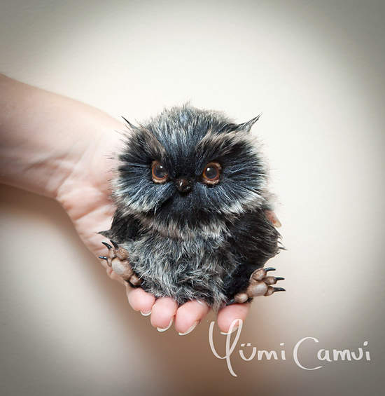Tiny miniature baby owl Spook by Yumi Camui - Bear Pile