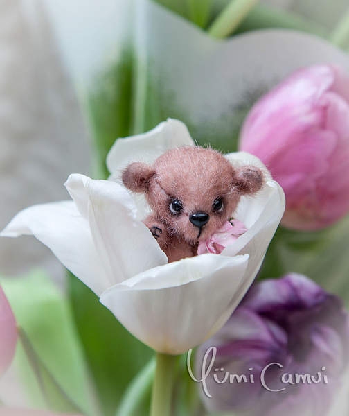 Miniature micro bear tiny Bobo by Yumi Camui - Bear Pile