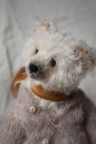 Albert by Alla Stepanets - Bear Pile