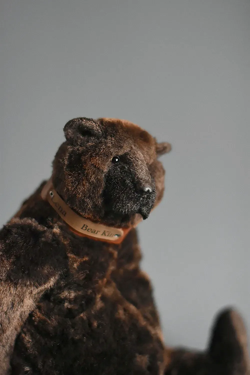 Dave by Lena Bear Kin - Bear Pile