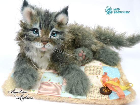 Margot. Kitten by Anastasia Arzhaeva - Bear Pile