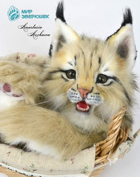 Lewis. Lynx cub by Anastasia Arzhaeva - Bear Pile