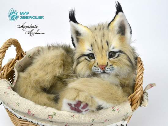 Lewis. Lynx cub by Anastasia Arzhaeva - Bear Pile