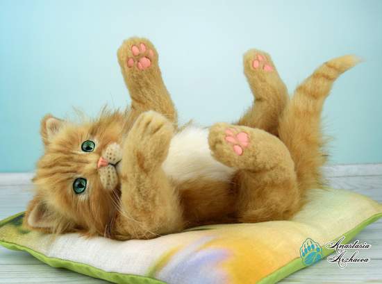 August. Kitten by Anastasia Arzhaeva - Bear Pile