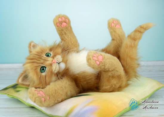 August. Kitten by Anastasia Arzhaeva - Bear Pile