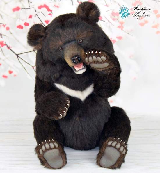 Stepan. Himalayan bear. Winner by Anastasia Arzhaeva - Bear Pile