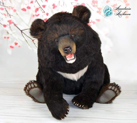Stepan. Himalayan bear. Winner by Anastasia Arzhaeva - Bear Pile