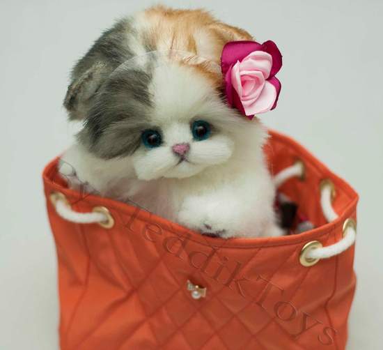 Kitten Alisa by Irina Vnukova - Bear Pile