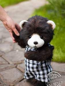 Spitz Sheldon by Irina Vnukova - Bear Pile