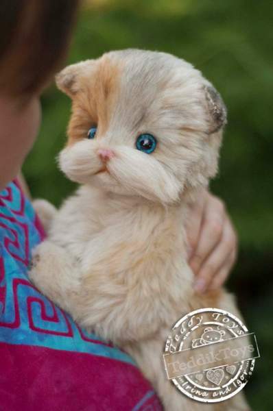 Kitten Percy by Irina Vnukova - Bear Pile