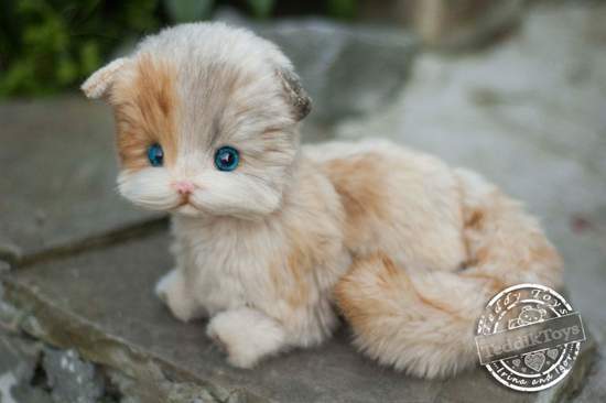 Kitten Percy by Irina Vnukova - Bear Pile