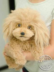 Raccoon Julie by Irina Vnukova - Bear Pile