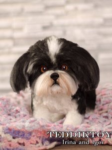 dog teddy Yorks Kesi, Yorkshire Terrier by Irina Vnukova - Bear Pile