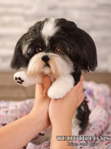 dog teddy Yorks Kesi, Yorkshire Terrier by Irina Vnukova - Bear Pile
