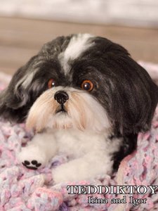 dog teddy Yorks Kesi, Yorkshire Terrier by Irina Vnukova - Bear Pile