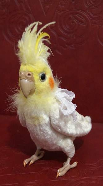 Pearl, cockatiel parrot by Alina Biliakova - Bear Pile