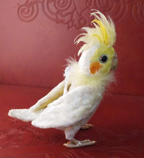 Pearl, cockatiel parrot by Alina Biliakova - Bear Pile