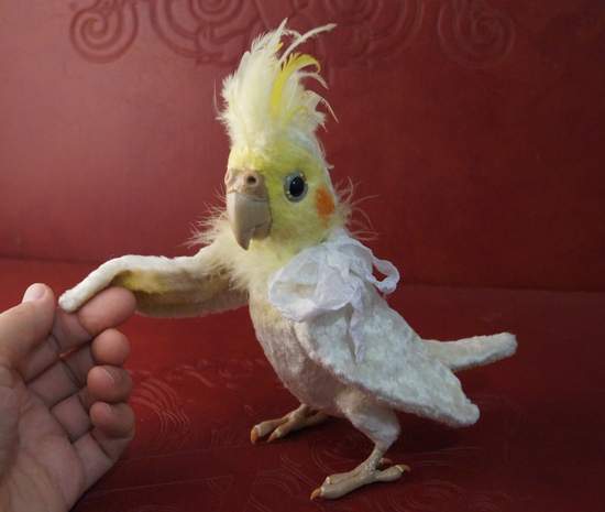 Pearl, cockatiel parrot by Alina Biliakova - Bear Pile