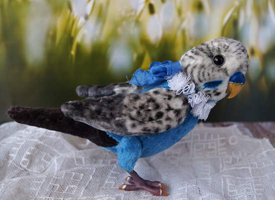 Sailor, the blue budgerigar parrot by Alina Biliakova - Bear Pile