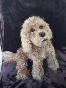 SIMONE a Yorkie Yorkshire Terrier dog by Brigitte Crowe - Bear Pile