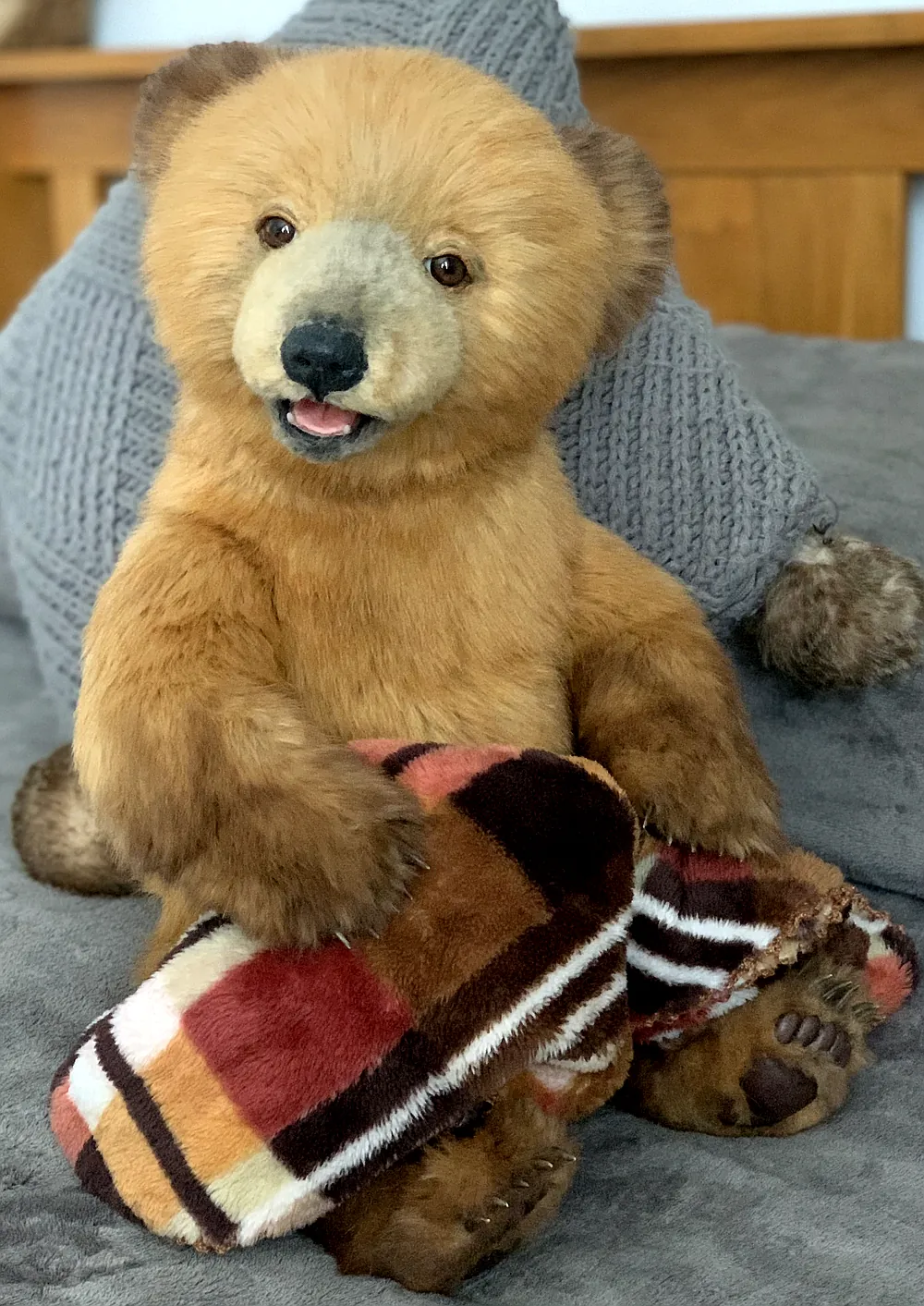 Malcolm by Svetlana Khabarova - Bear Pile