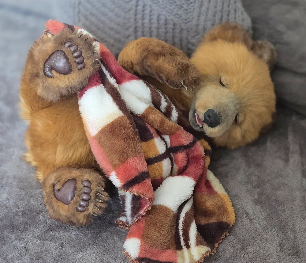 Malcolm by Svetlana Khabarova - Bear Pile