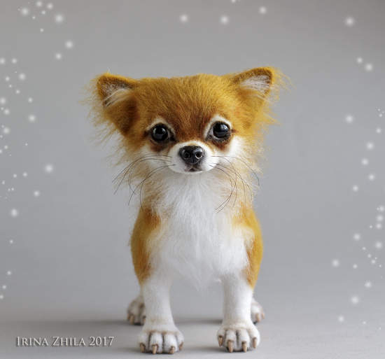 Chihuahua Dog by Irina Zhila - Bear Pile