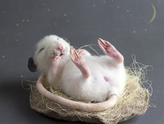 White rat with gray spots by Irina Zhila - Bear Pile