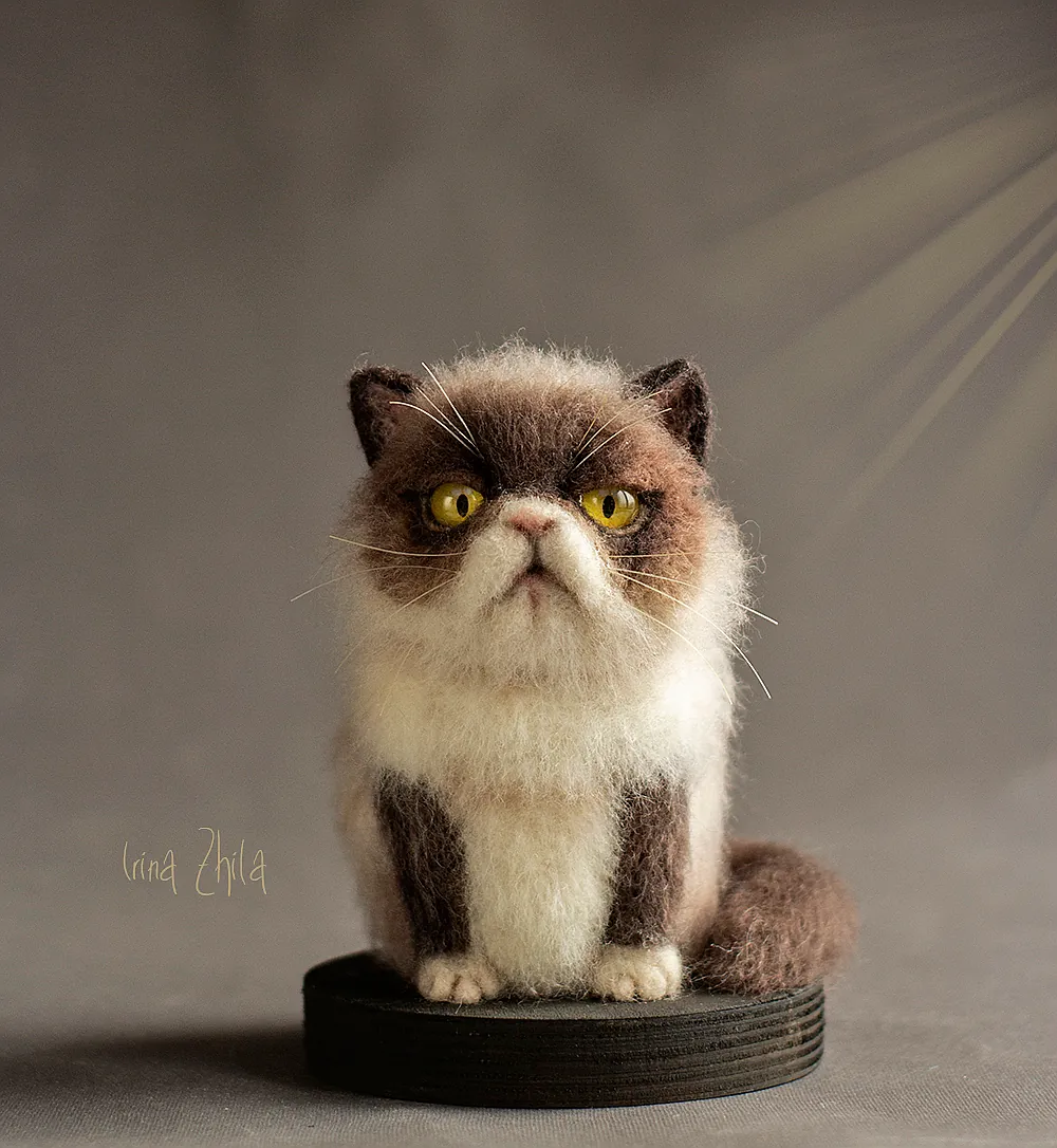 Serious cat by Irina Zhila - Bear Pile