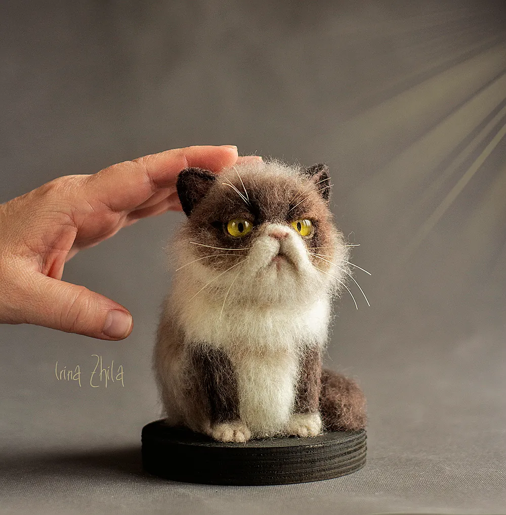 Serious cat by Irina Zhila - Bear Pile