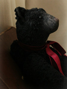 Ridi by Elena Karasenko - Bear Pile