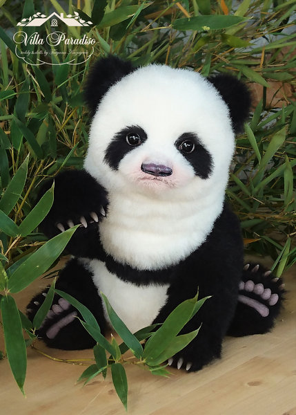 Miko panda cub by Tatyana Kazayeva/VillaParadiso - Bear Pile