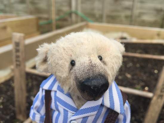 Archie by Out of the Woods - Bear Pile