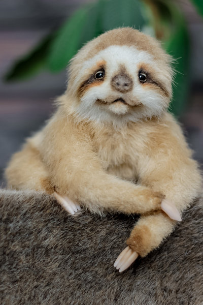 Sloth Ginger by Julia Svyatokha - Bear Pile