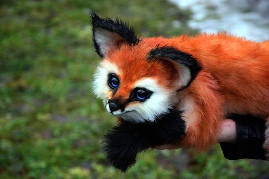 Foxie Fox by Asel Rin - Bear Pile