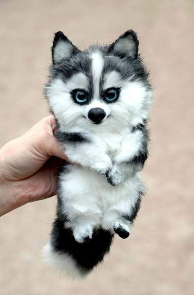 Husky by Asel Rin - Bear Pile