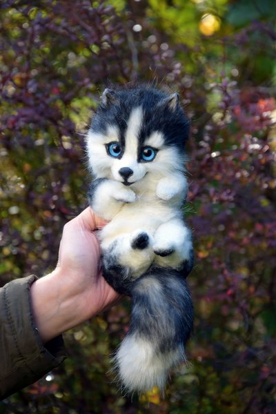 Husky by Asel Rin - Bear Pile