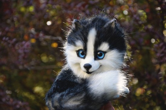 Husky by Asel Rin - Bear Pile