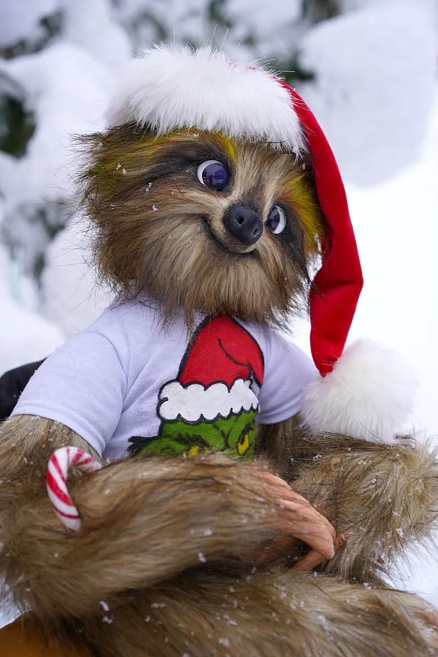 Santa Sloth with Grinch by Asel Rin - Bear Pile