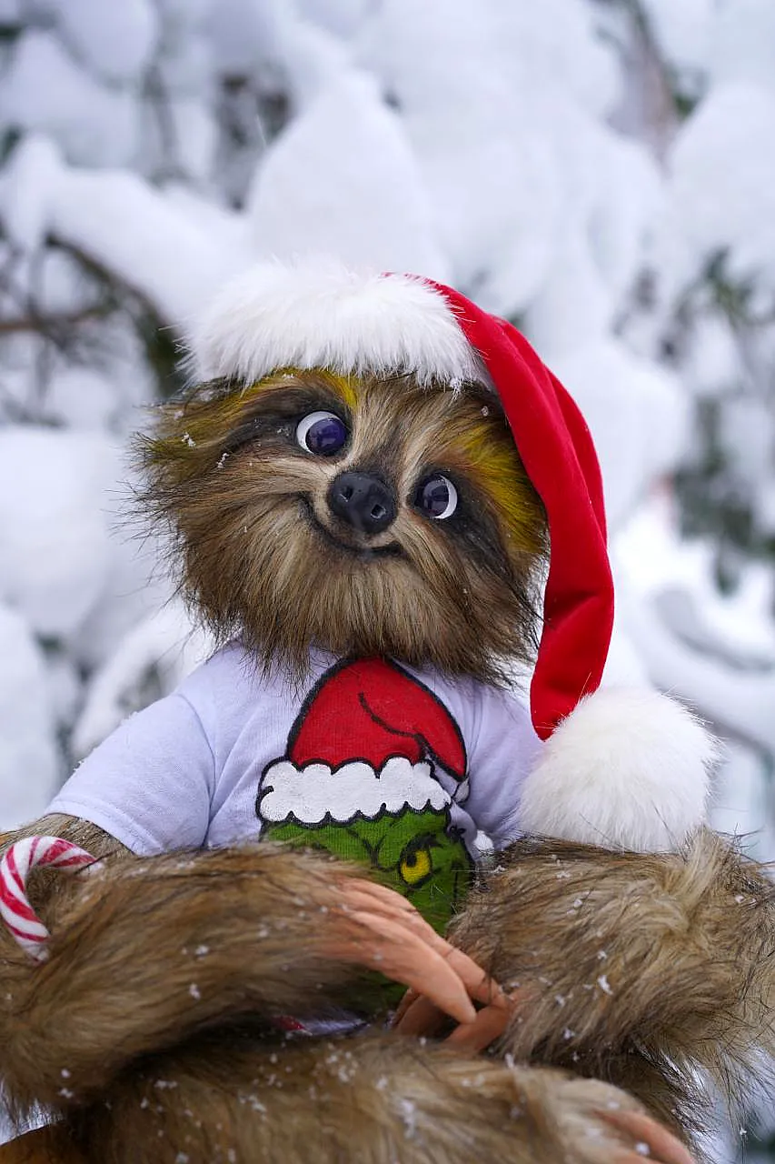 Santa Sloth with Grinch by Asel Rin - Bear Pile