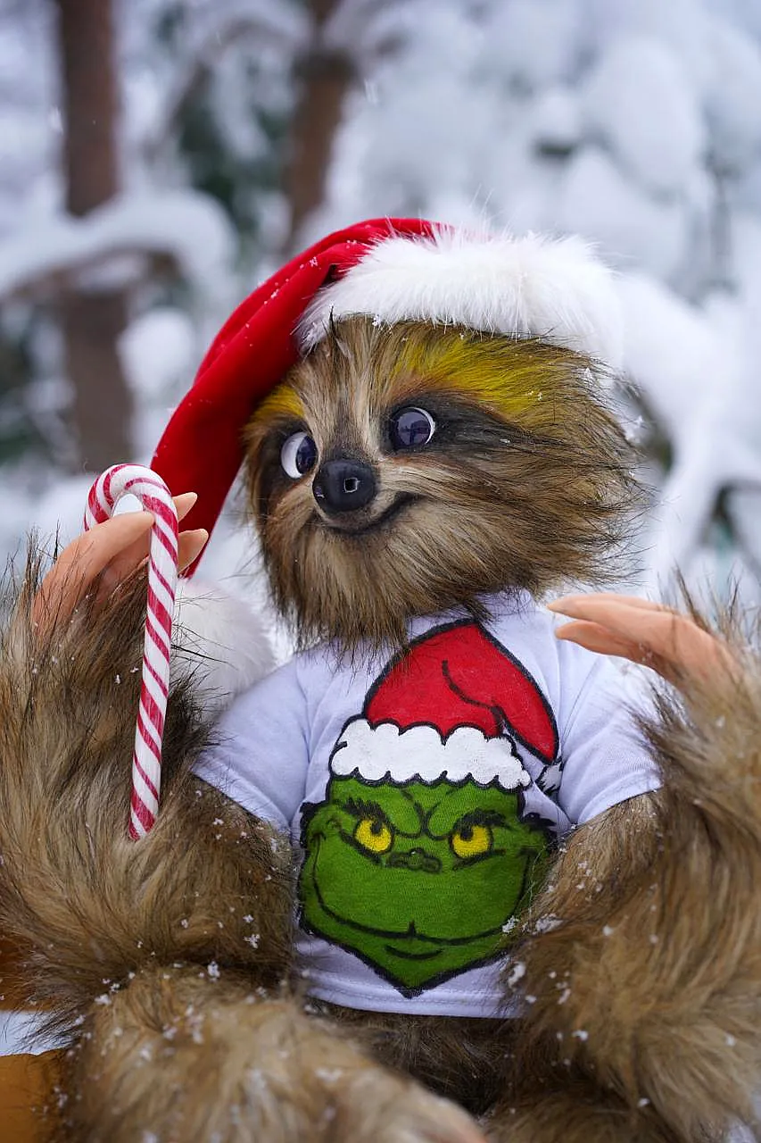 Santa Sloth with Grinch by Asel Rin - Bear Pile