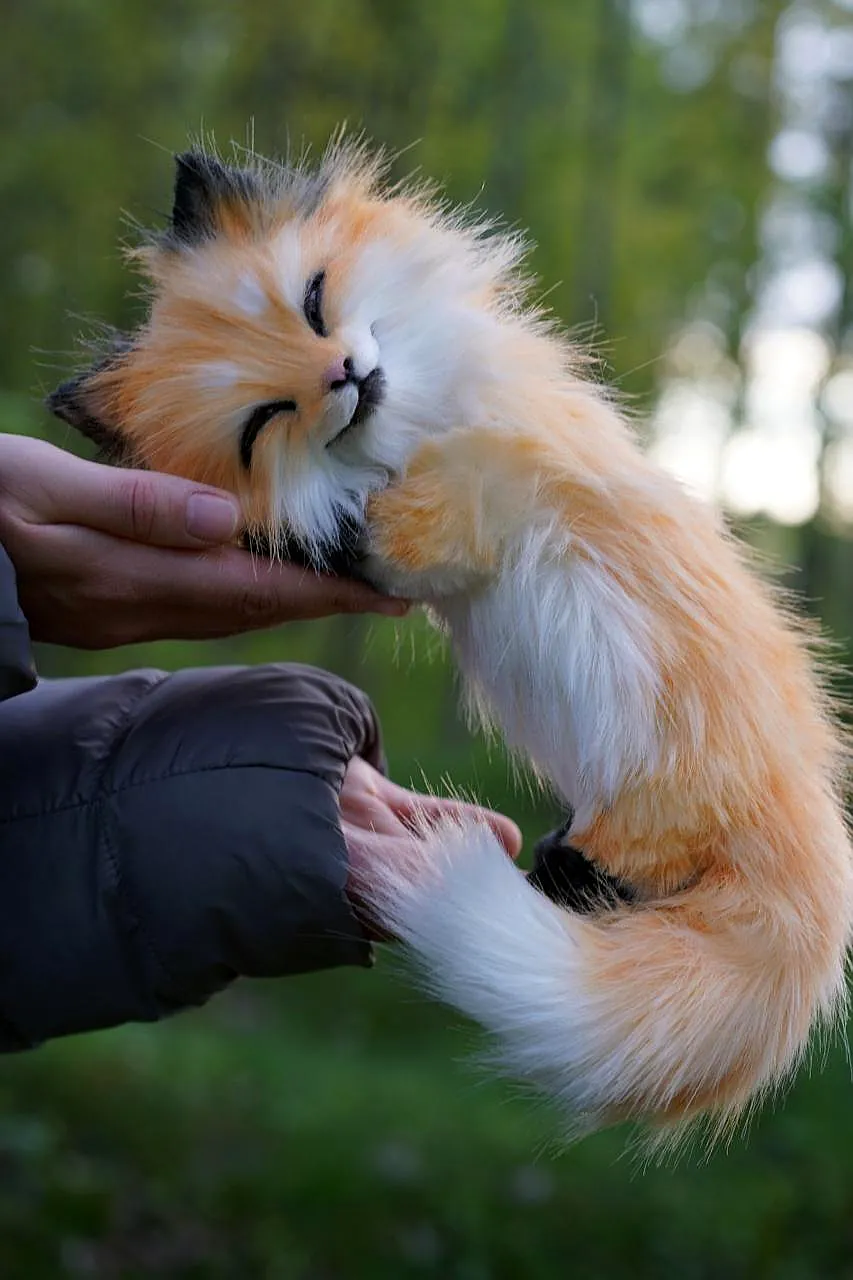 Pink nose foxy by Asel Rin - Bear Pile