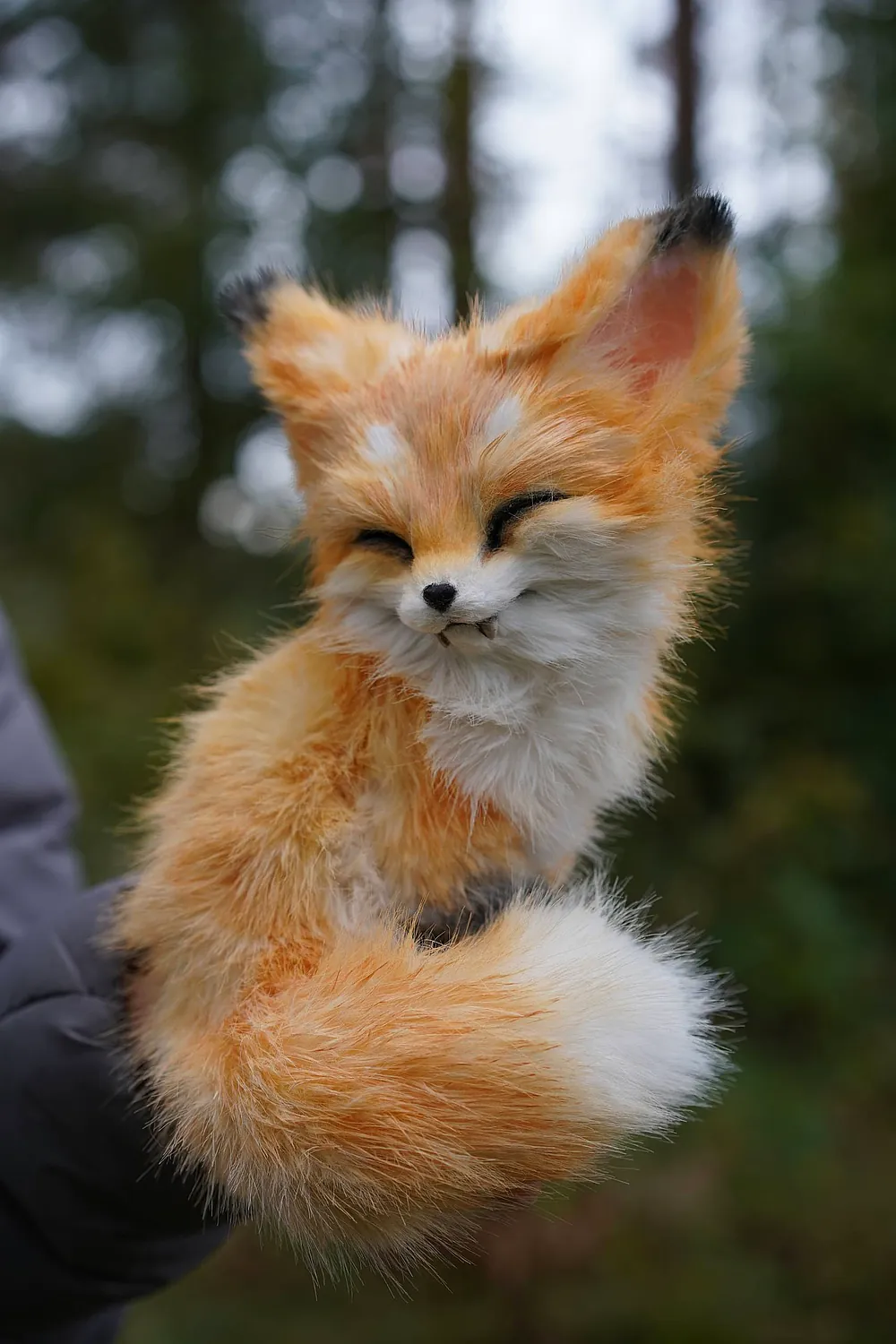 Fox Max by Asel Rin - Bear Pile
