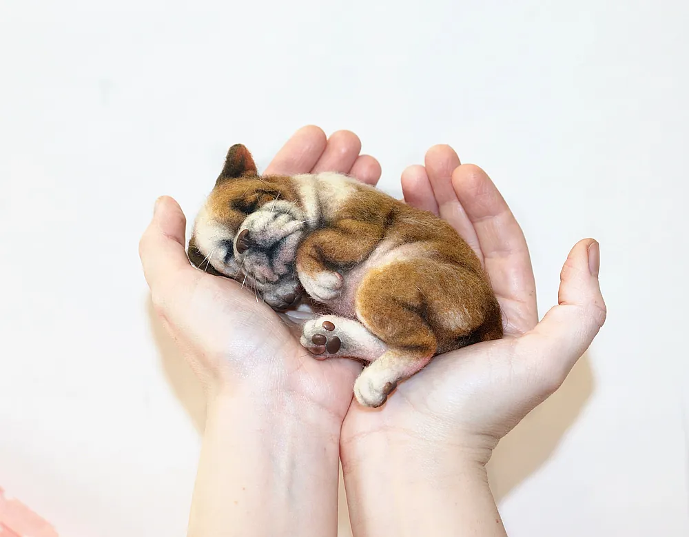 Shhh, the baby is sleeping by Teplyakova Daria - Bear Pile