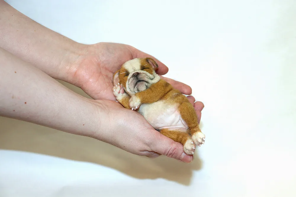 Shhh, the baby is sleeping by Teplyakova Daria - Bear Pile