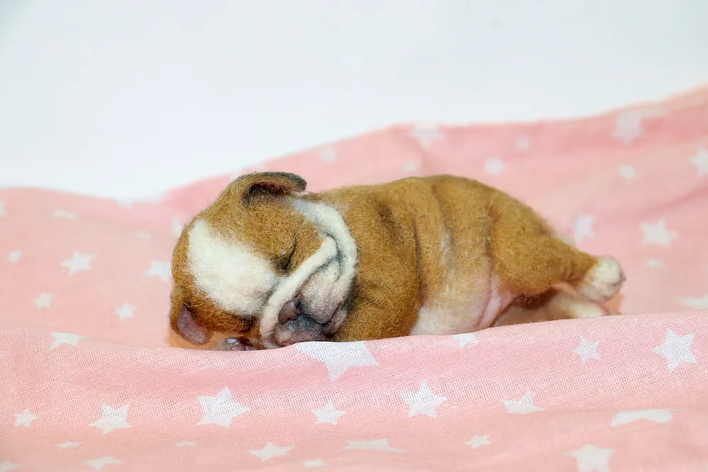 Shhh, the baby is sleeping by Teplyakova Daria - Bear Pile
