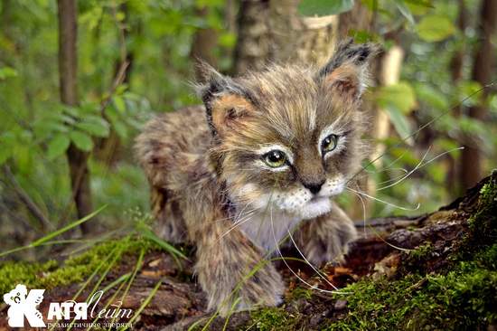 A Small Lynx Lucky by Ekaterina Leyt - Bear Pile